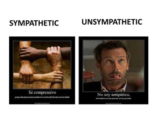 Personality adjectives | PPTX