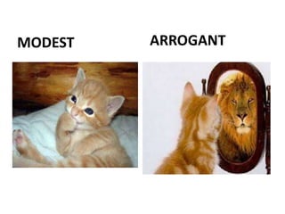 Personality adjectives | PPTX