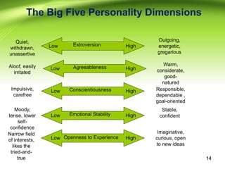 Personality and Foundations of individual behavior ppt.pptx