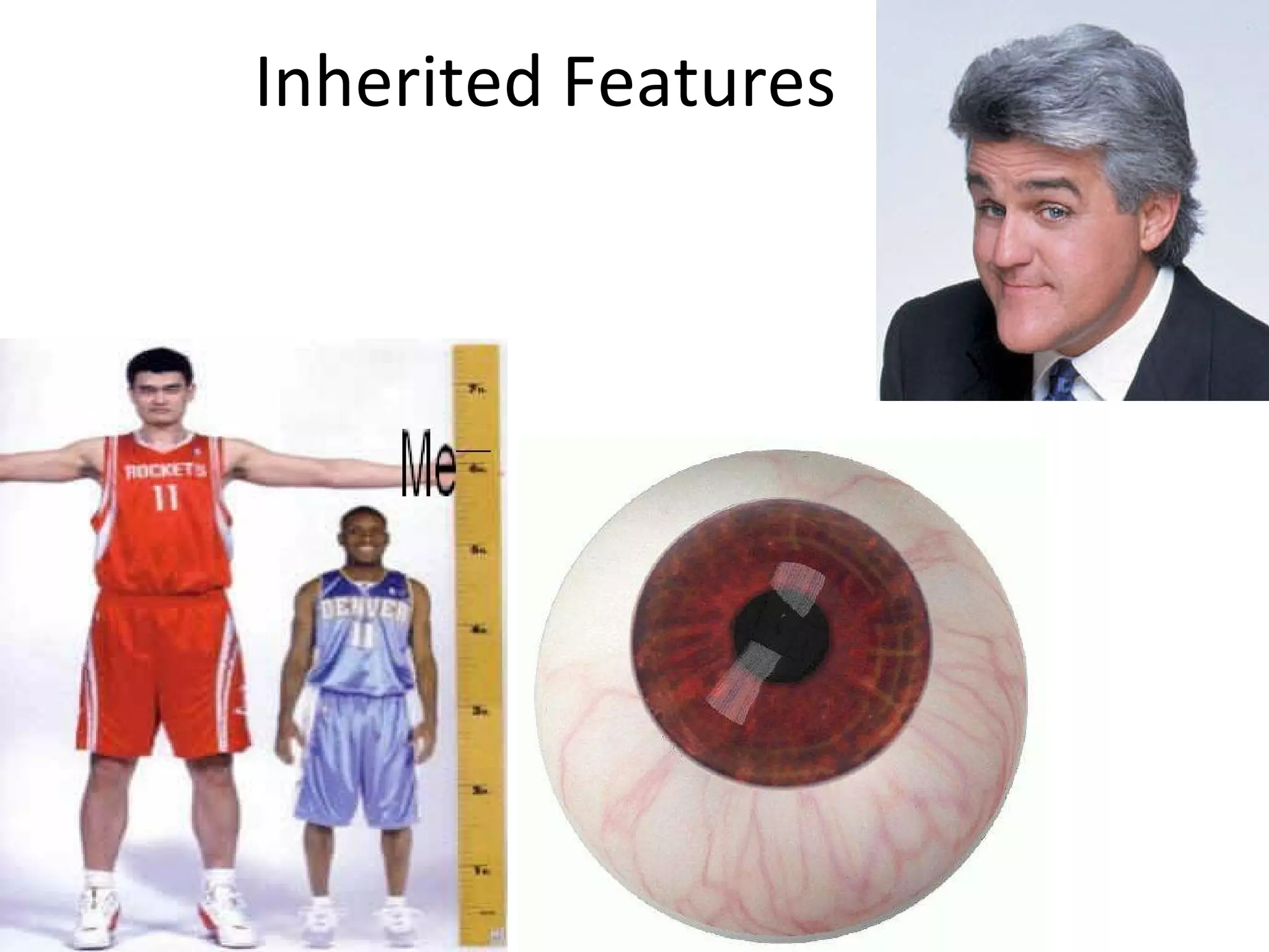 Personality Box | PPT