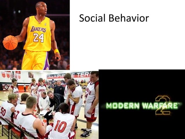 Personality Box | PPT