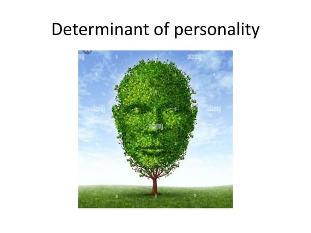 personality development 2.pptx