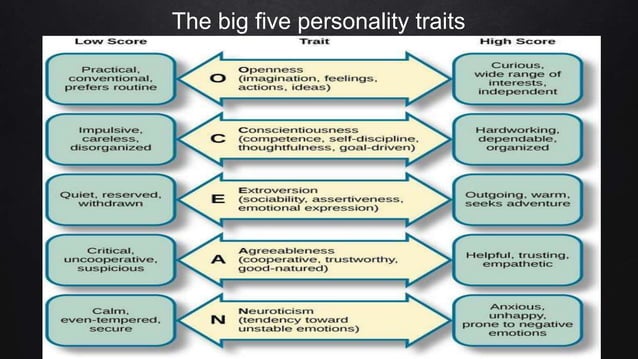 Personality | Measure personality | Hofstede Five value Dimensions | PPT