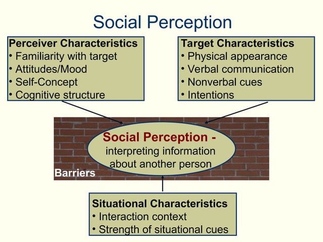 Understanding Personality, Perception, and Attribution: Insights for ...