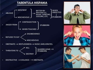 Personality Profiles | PPT