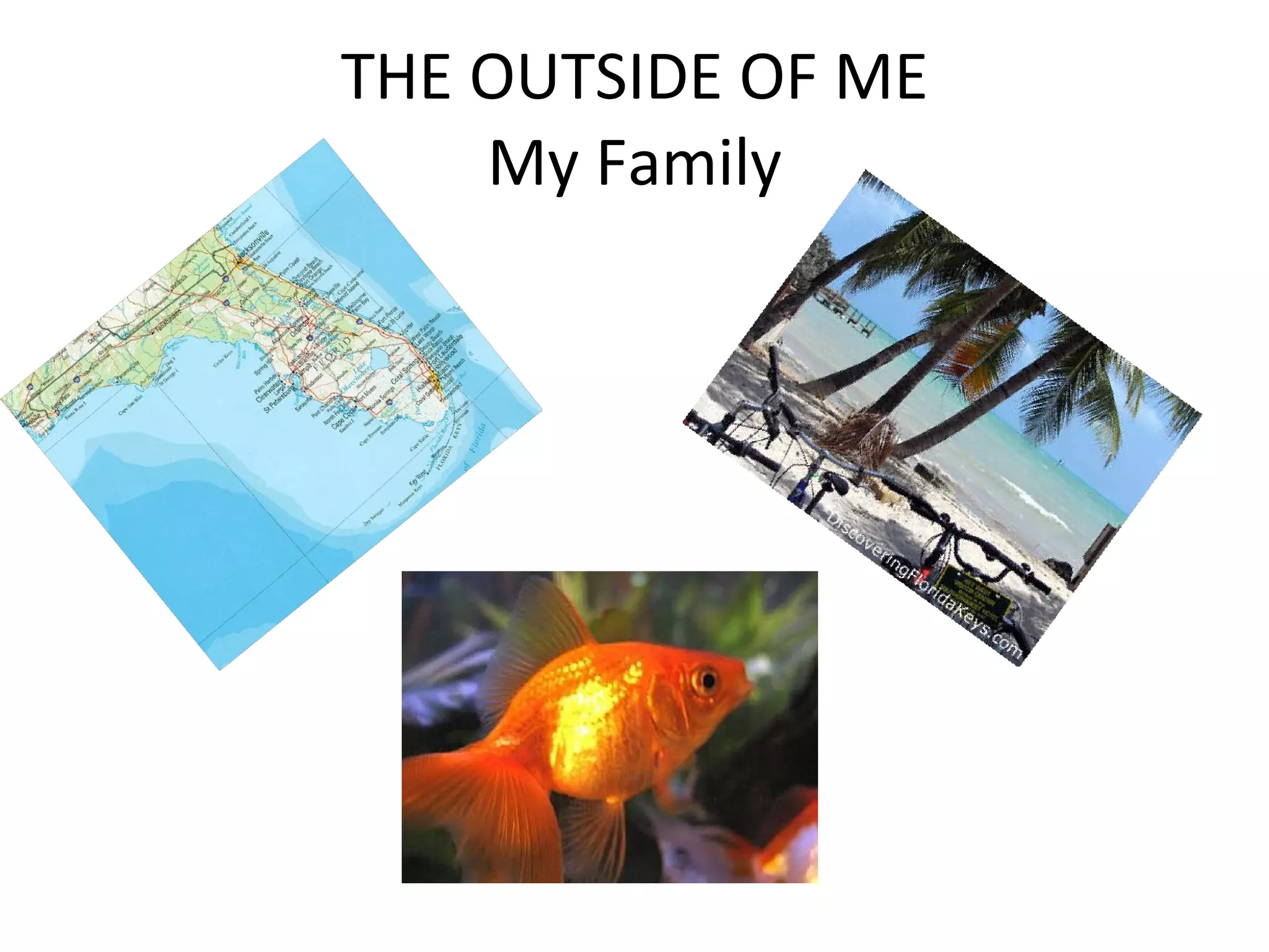 Personality Project | PPT | Science