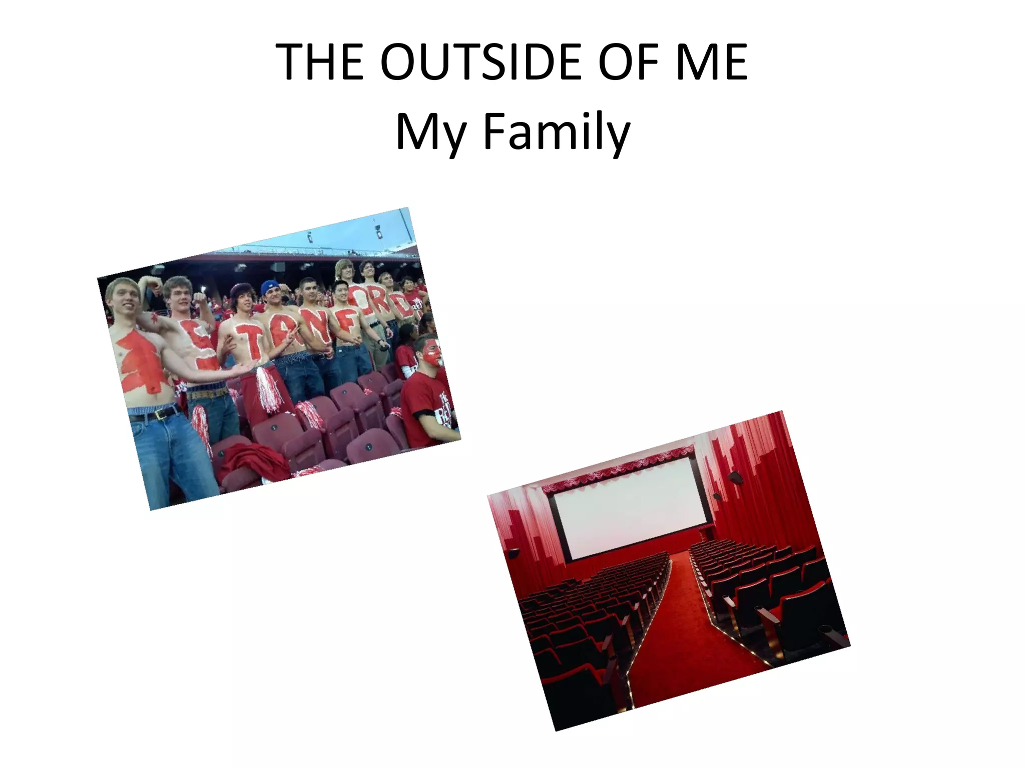 Personality Project | PPT | Science