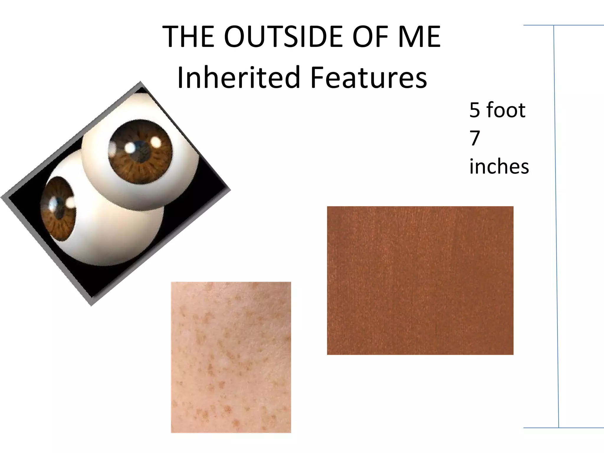 Personality Project | PPT | Science