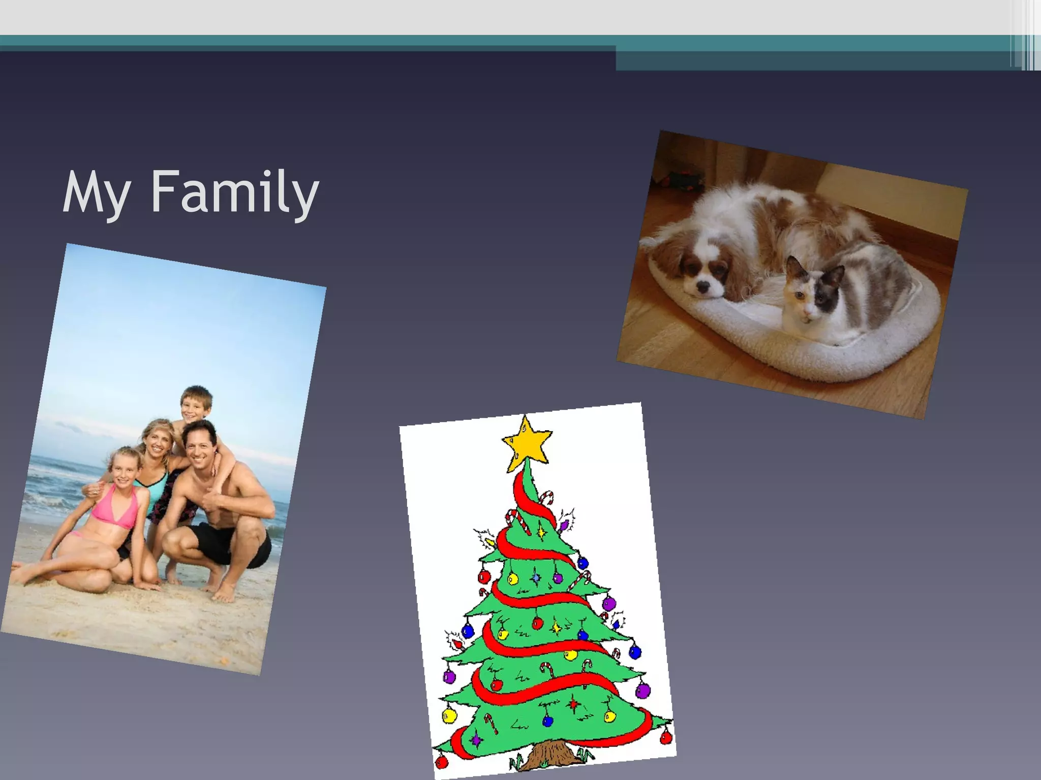 Personality Project | PPT