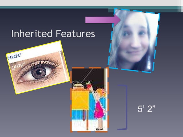 Personality Project | PPT