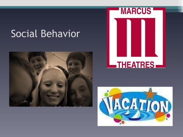 Personality Project | PPT