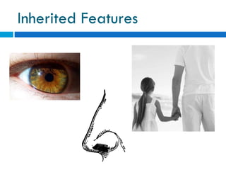 Personality Project | PPT