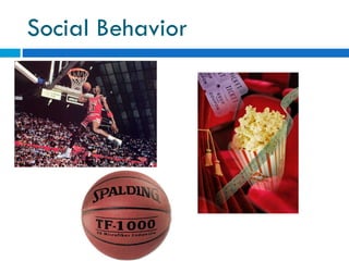 Personality Project | PPT