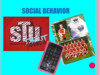 Personality Project | PPT