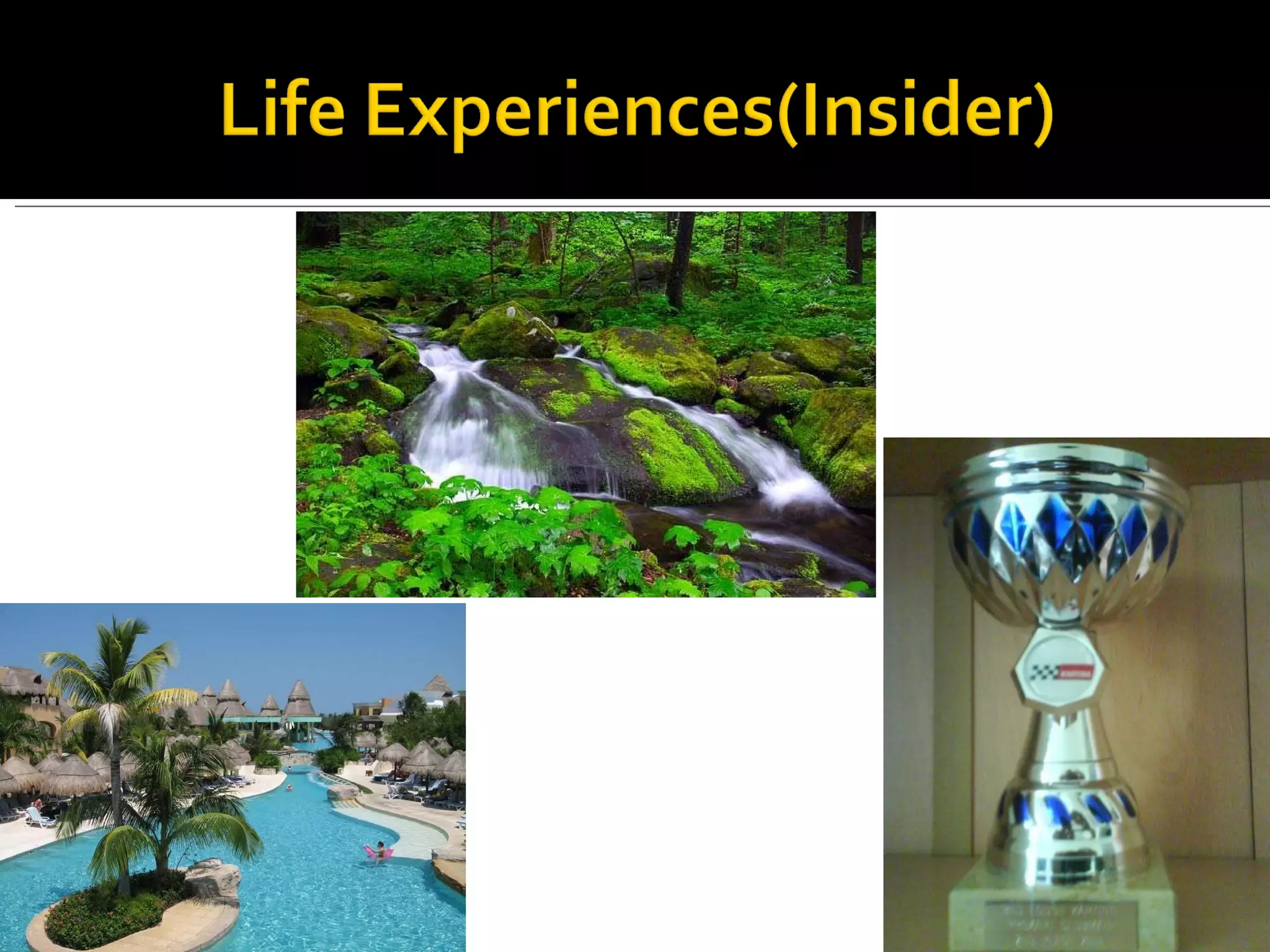 Personality Project | PPT