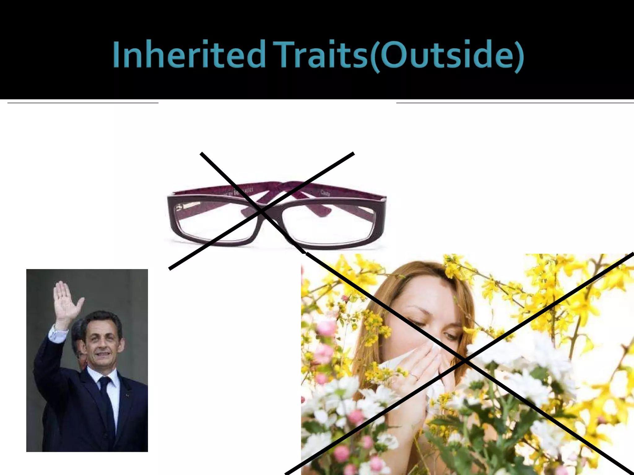 Personality Project | PPT