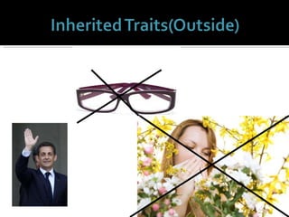 Personality Project | PPT