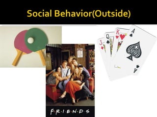 Personality Project | PPT