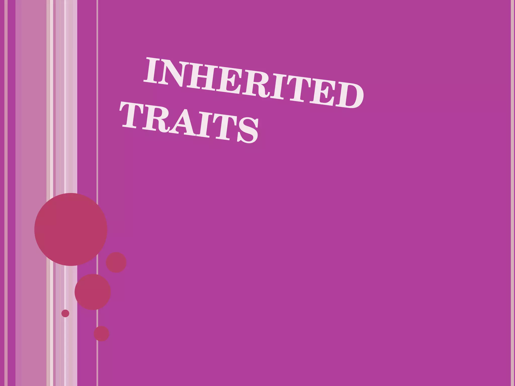 Personality Project | PPT