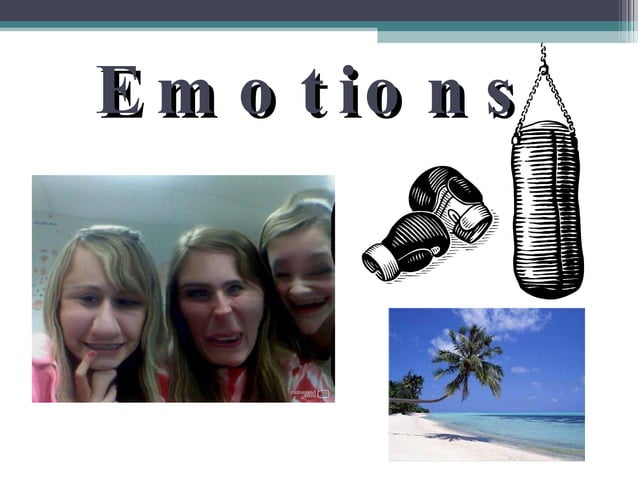 Personality Project | PPT