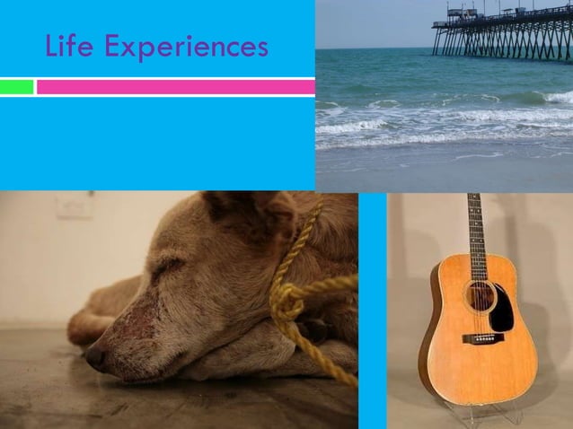 Personality Project | PPT