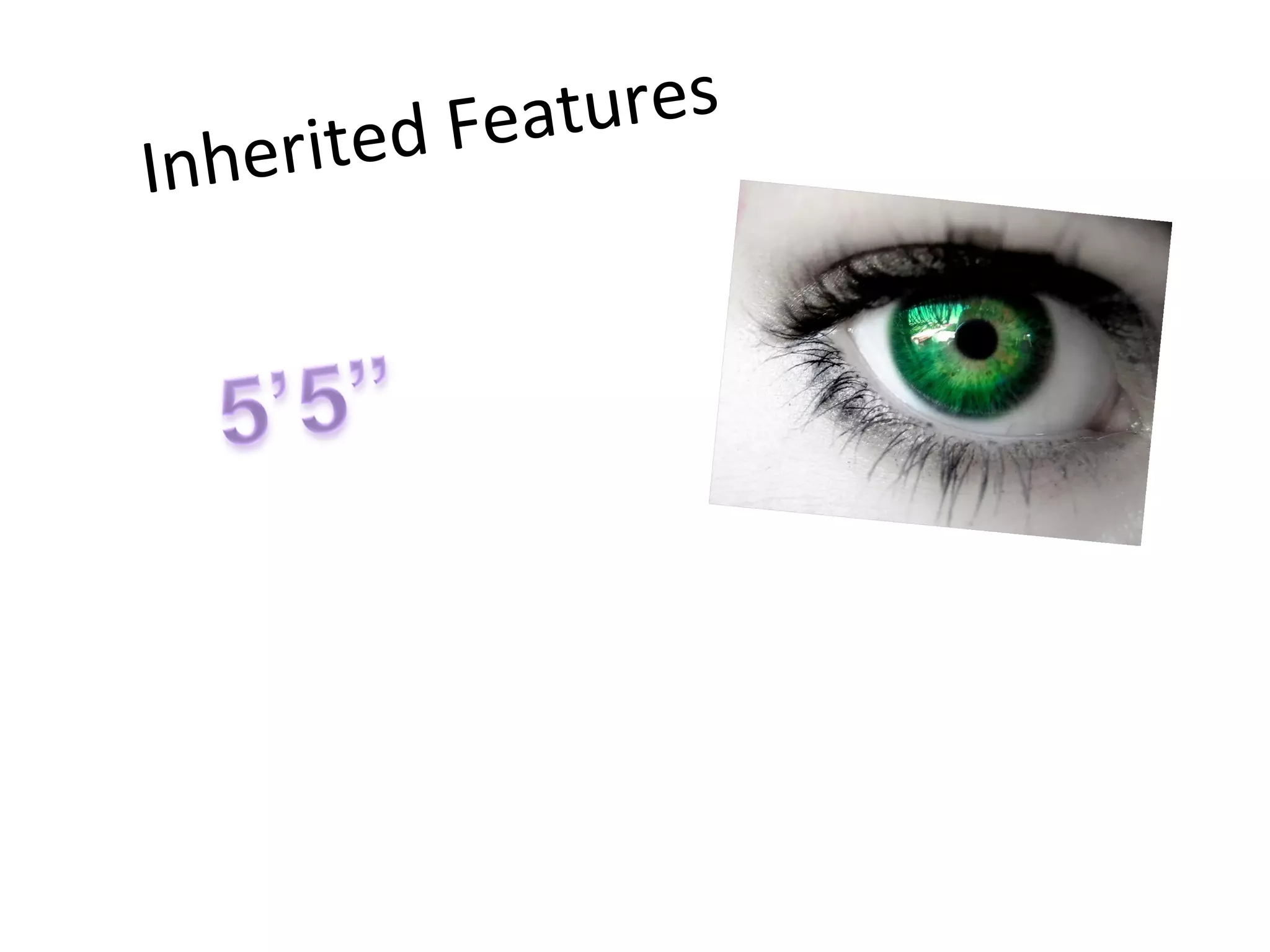 Personality project | PPT