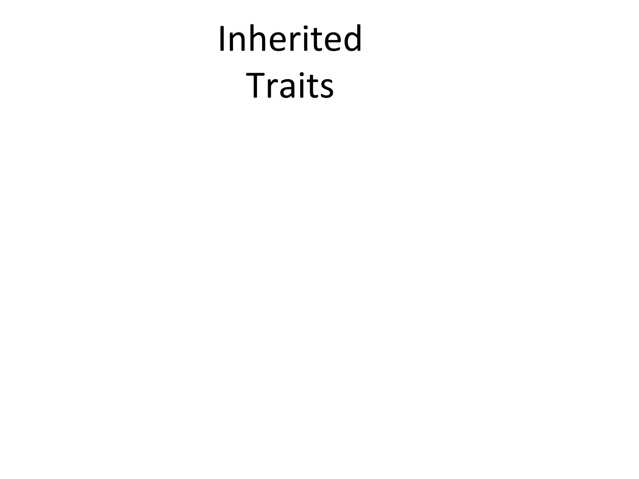 Personality project | PPT