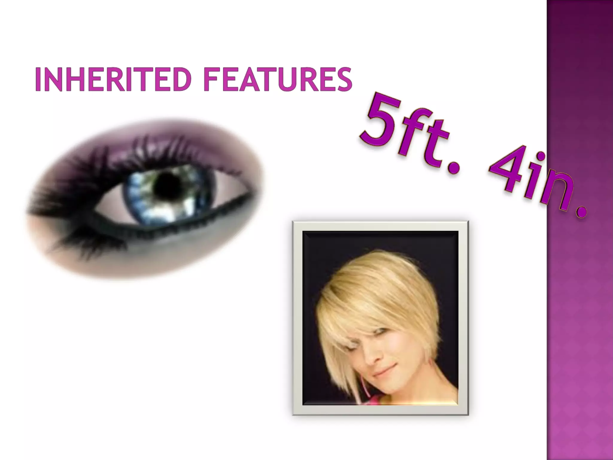 Personality project | PPT