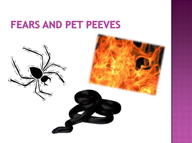 Personality project | PPT