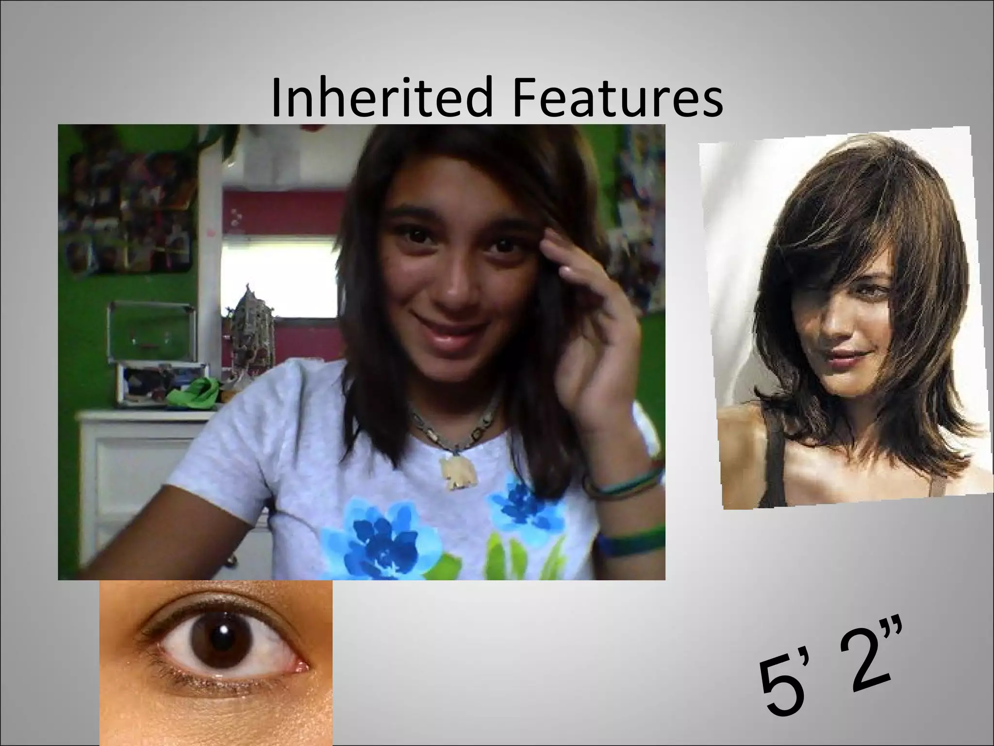 Personality project | PPT