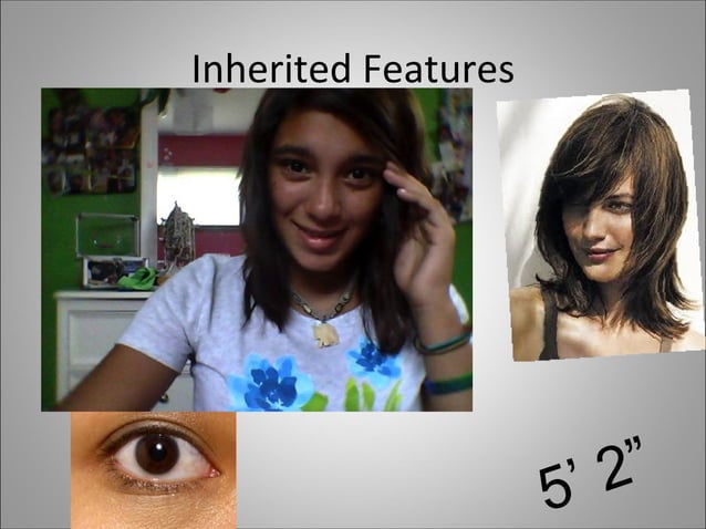 Personality project | PPT