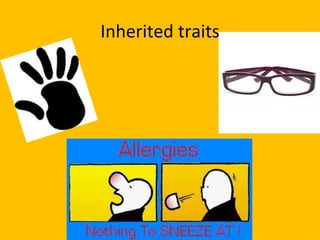 Personality project | PPT