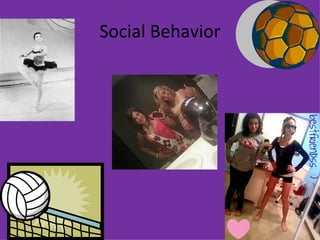 Personality project | PPT