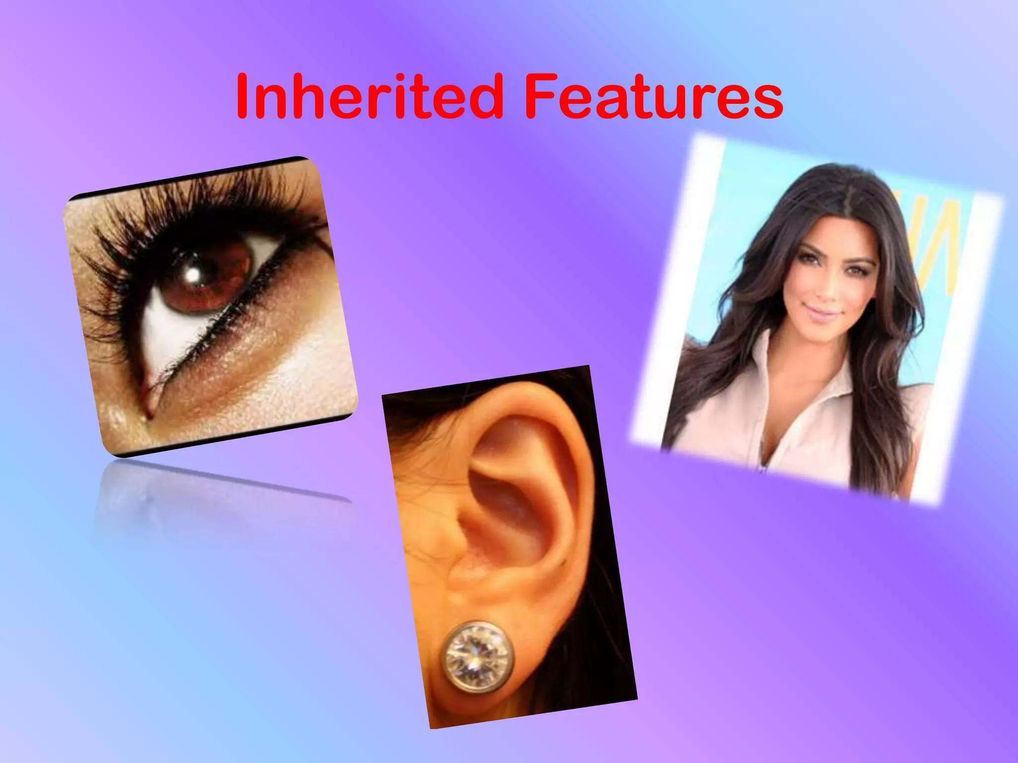 Personality project | PPTX