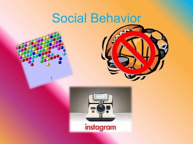 Personality project | PPTX