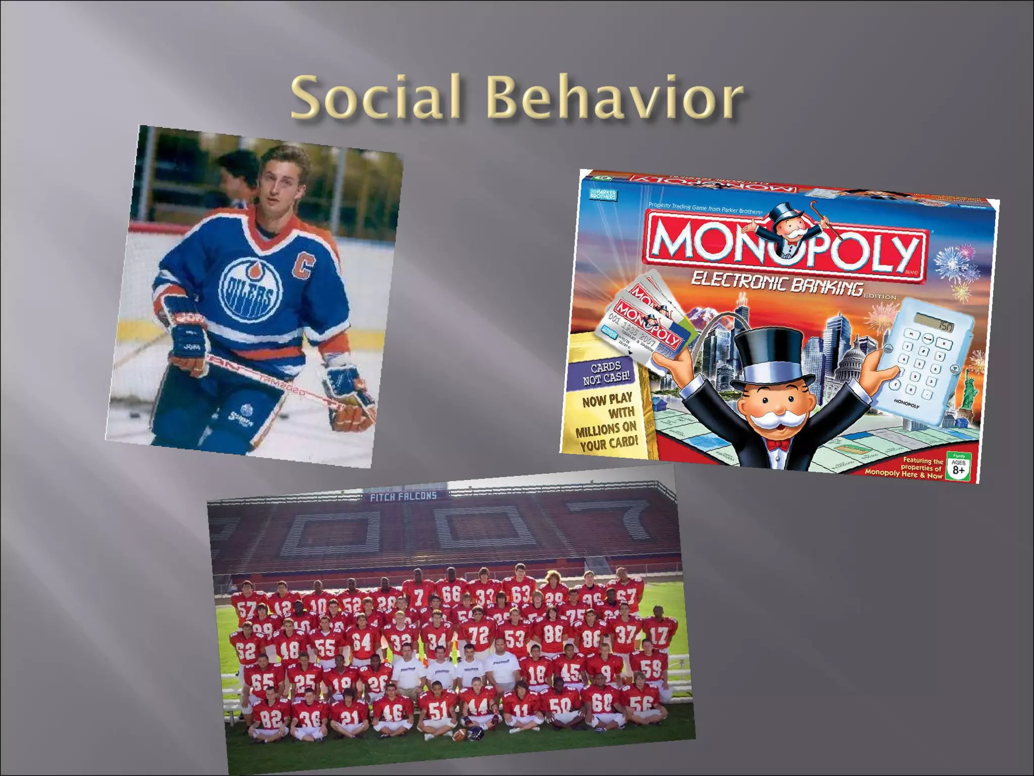 Personality project face | PPT