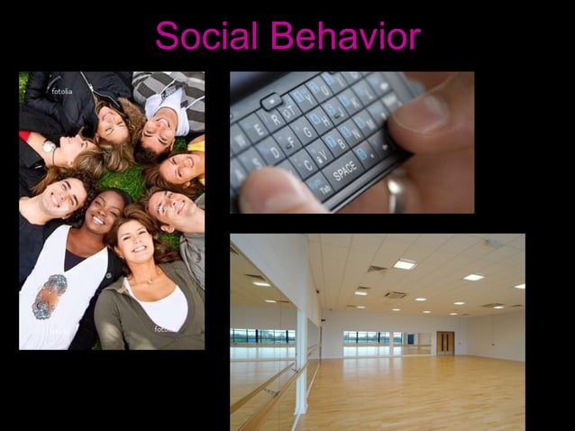 Personality project powerpoint taylor | PPT