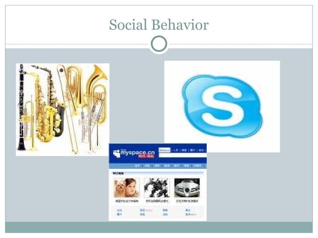 Personality Slide Show | PPT