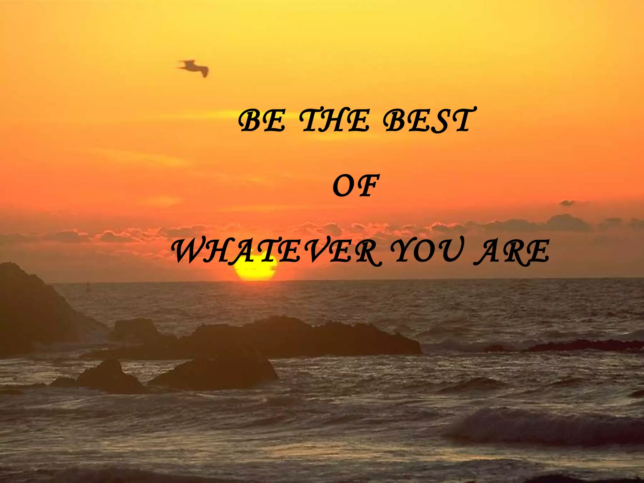 Personality tests | PPT