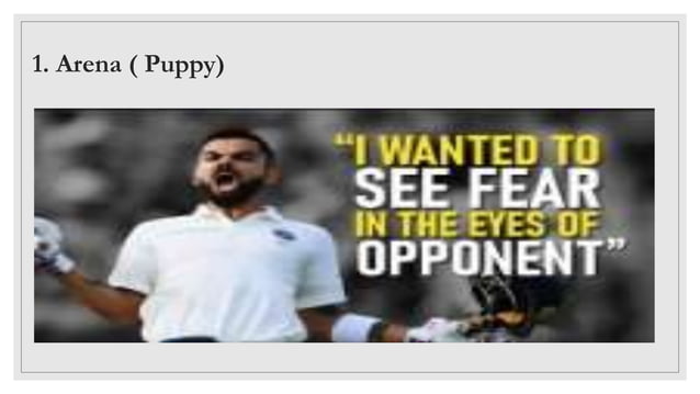 Personality Window_Group_4.pptx