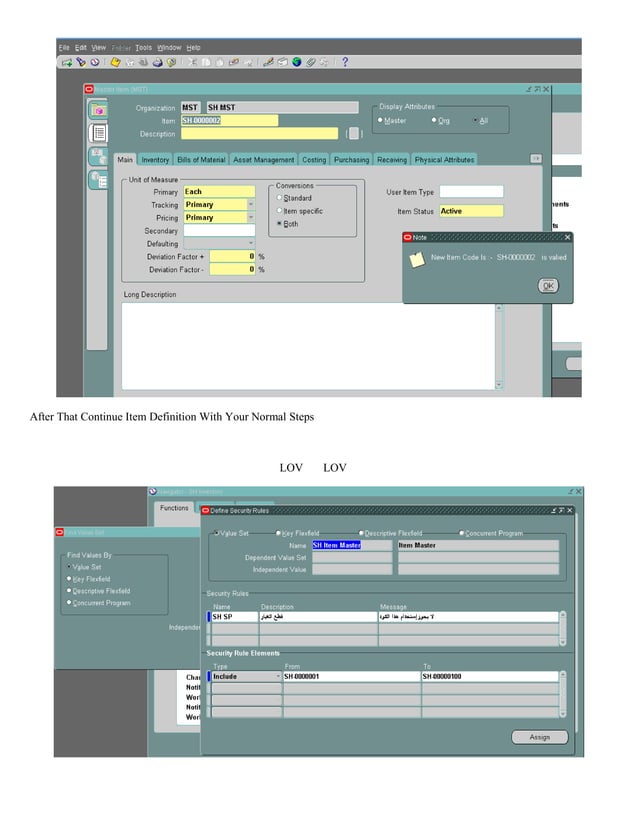 Oracle ERP Personalization for control master items list | DOC | Technology & Computing