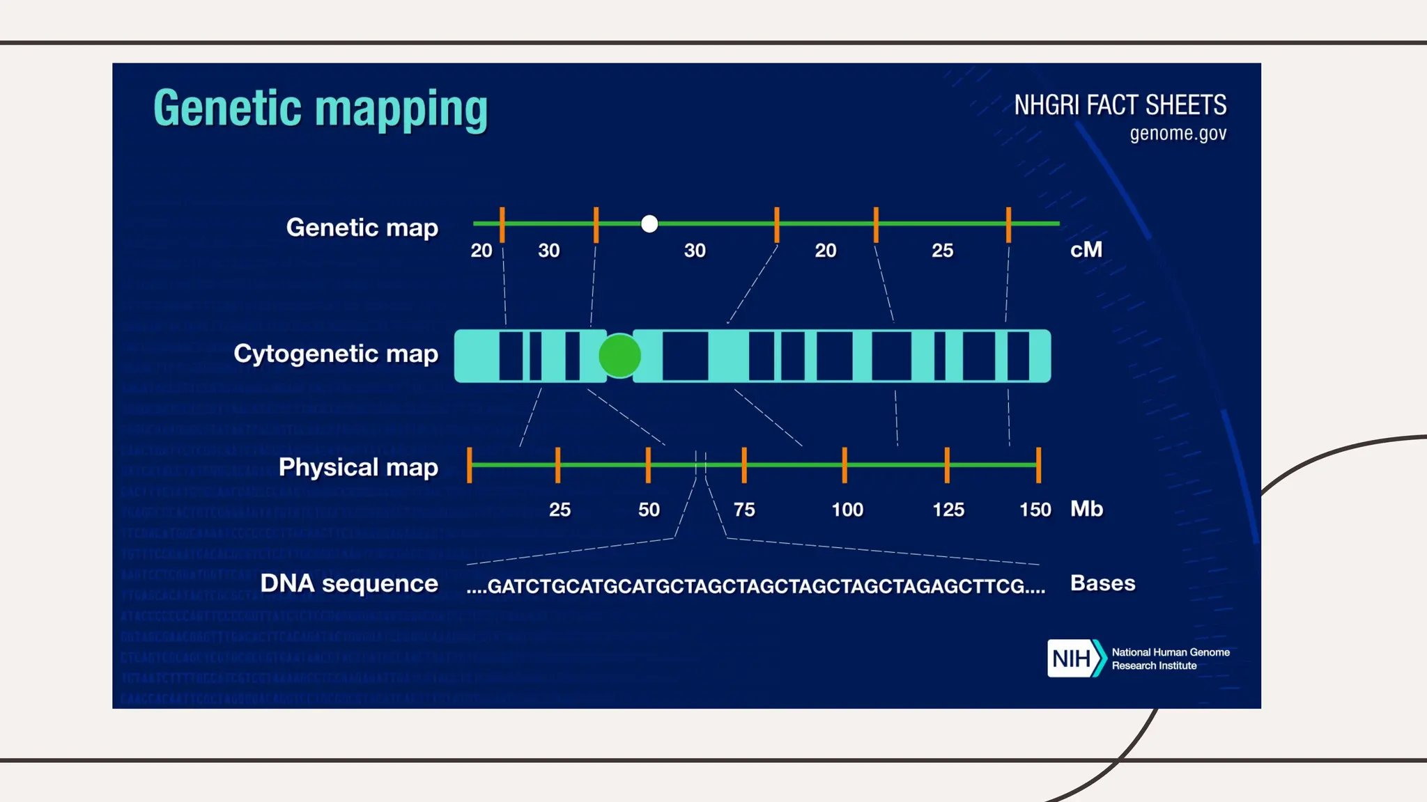 Personalized Genetic Cards for learning | PPT