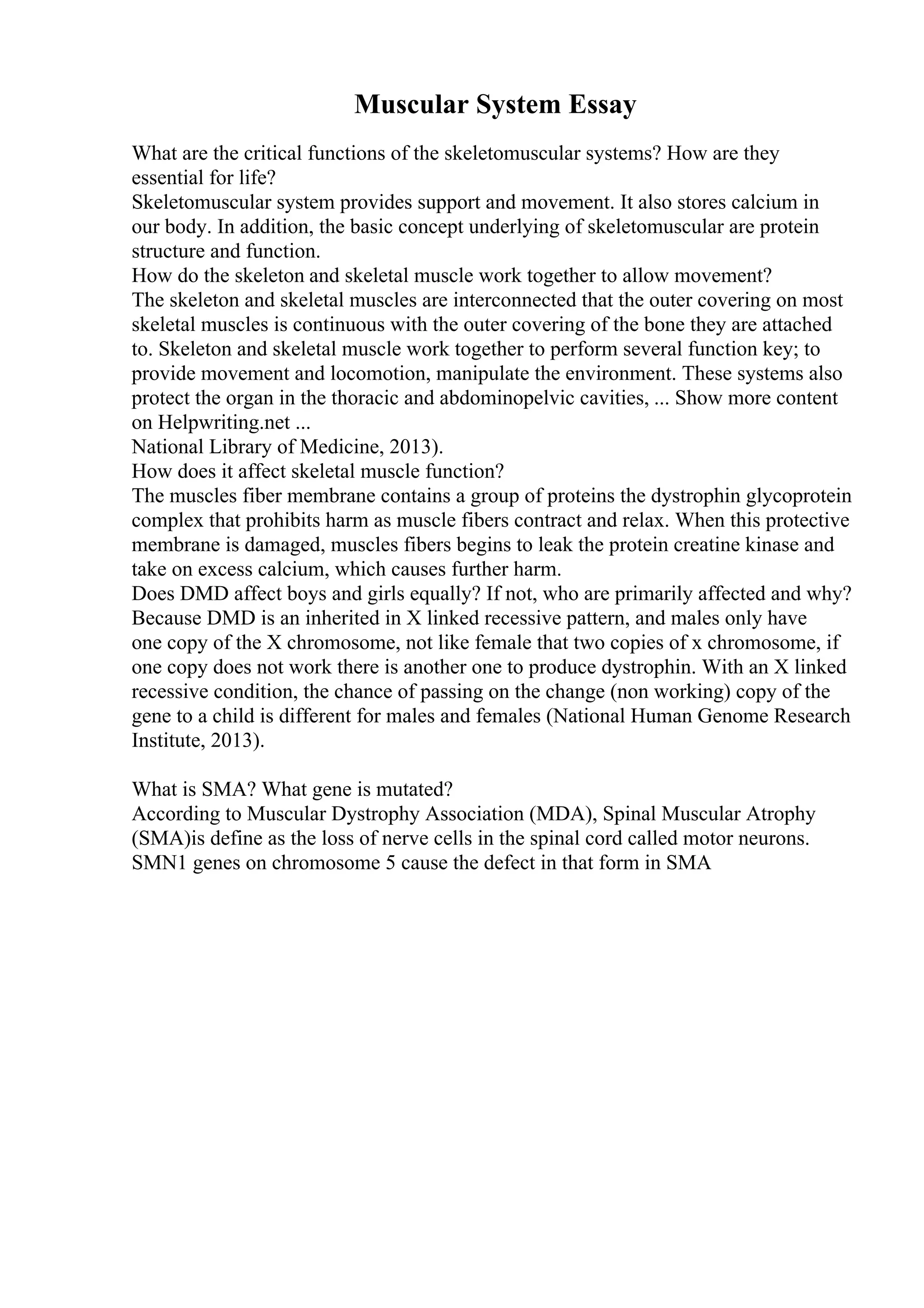 Personal Life Essay Examples.pdf