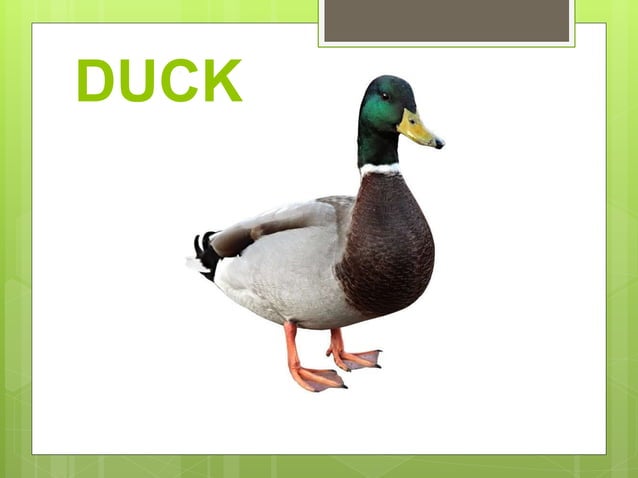 PERSONAL PRON & Verb TO BE.pptx