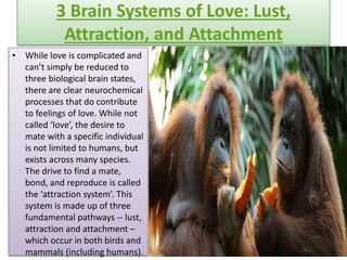 Personal Relationship | PPTX