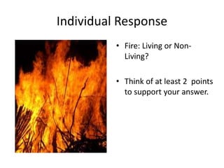 Personal response | PPT