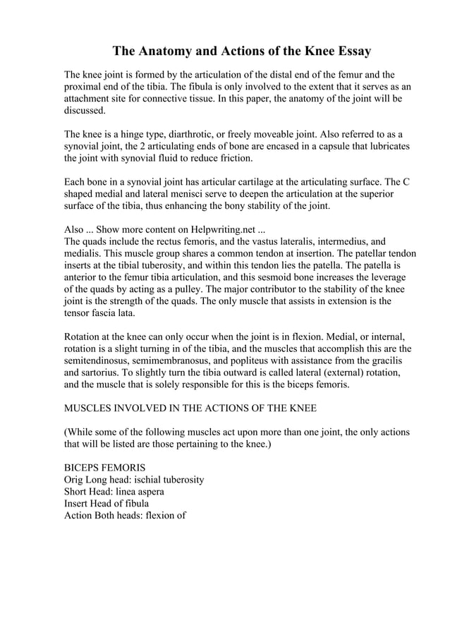 Personal Statement Essay Samples.pdf