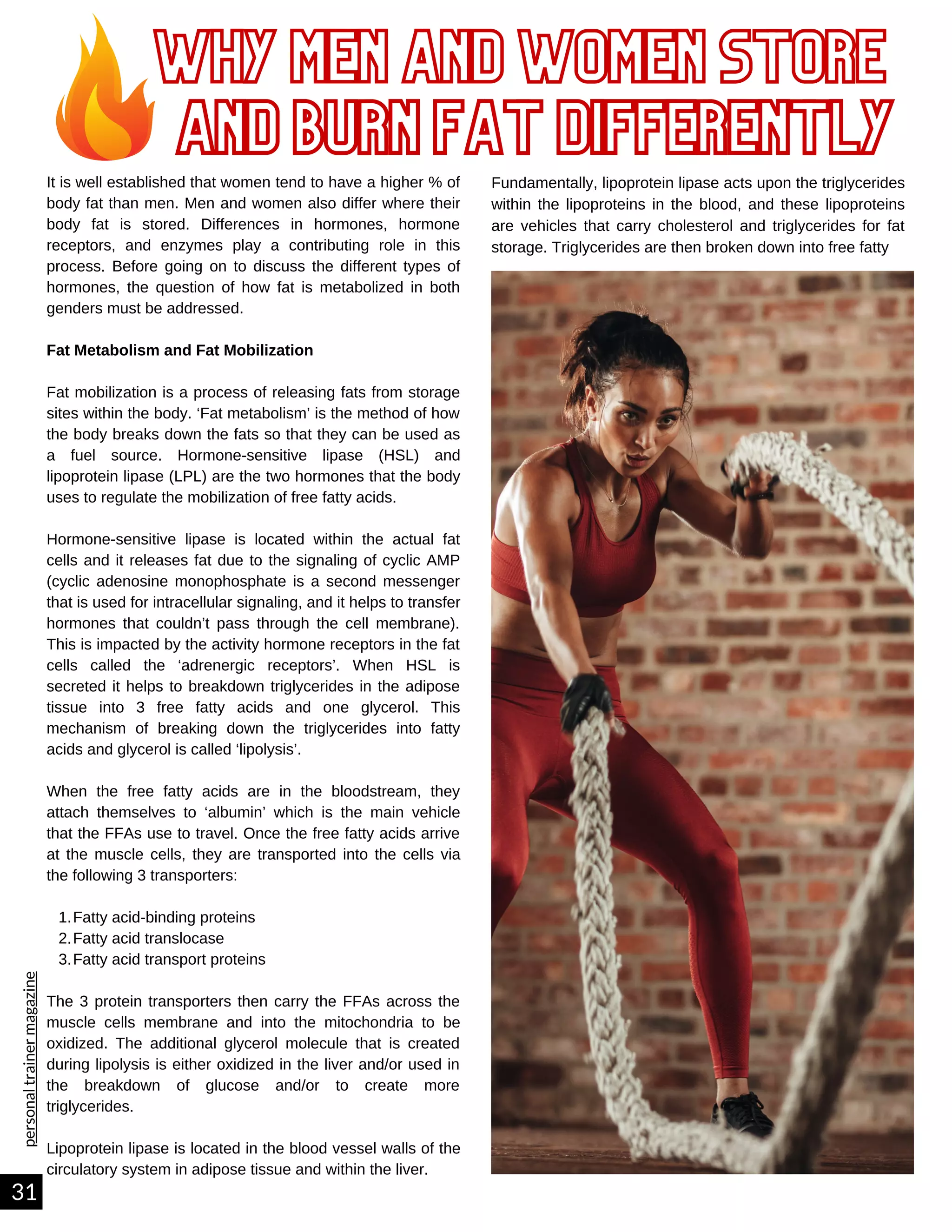 Personal trainer magazine issue 13 | PDF