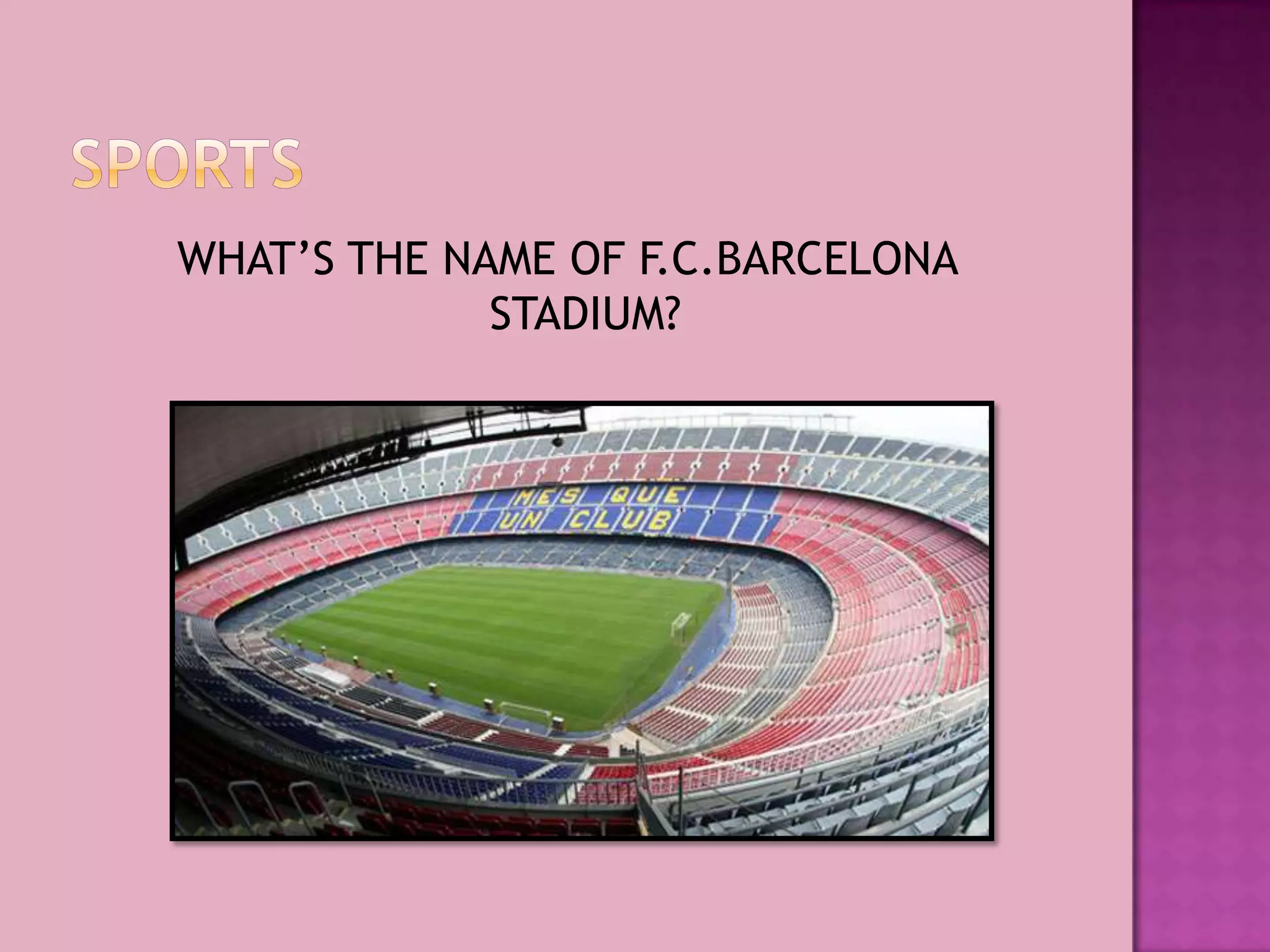 Personal trivia | PPT