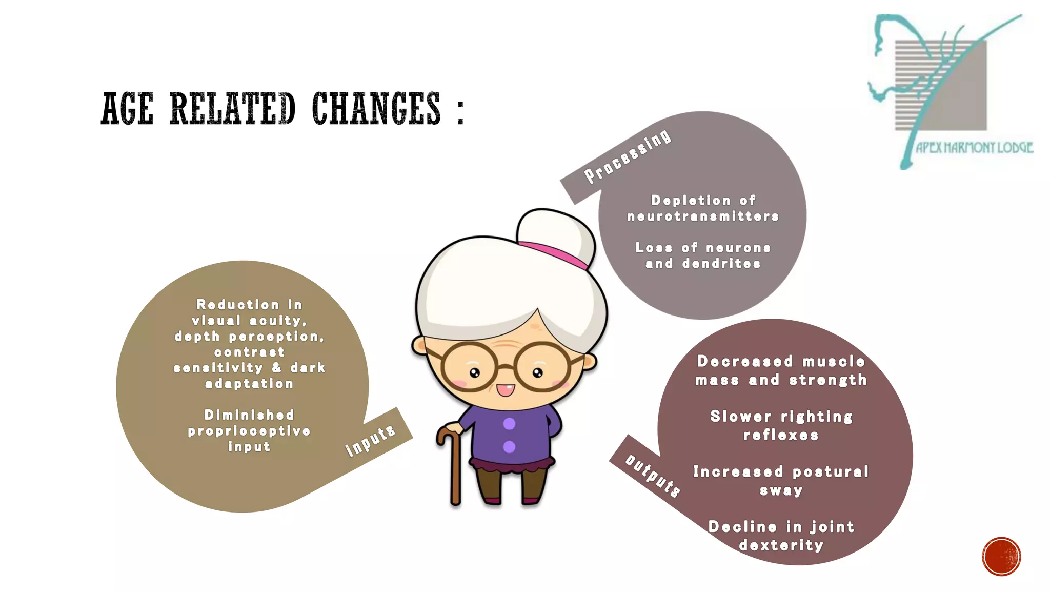 Person Centred Care approach to Fall Prevention in Nursing Homes. | PDF